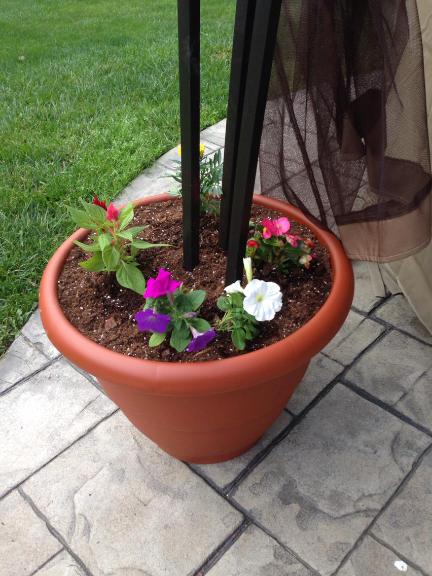 How to Set Up a Gazebo on Grass, Concrete, or Pavers